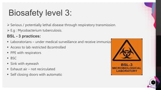 BIOSAFETY LEVEL.pptx | Infectious Diseases | Diseases and Conditions
