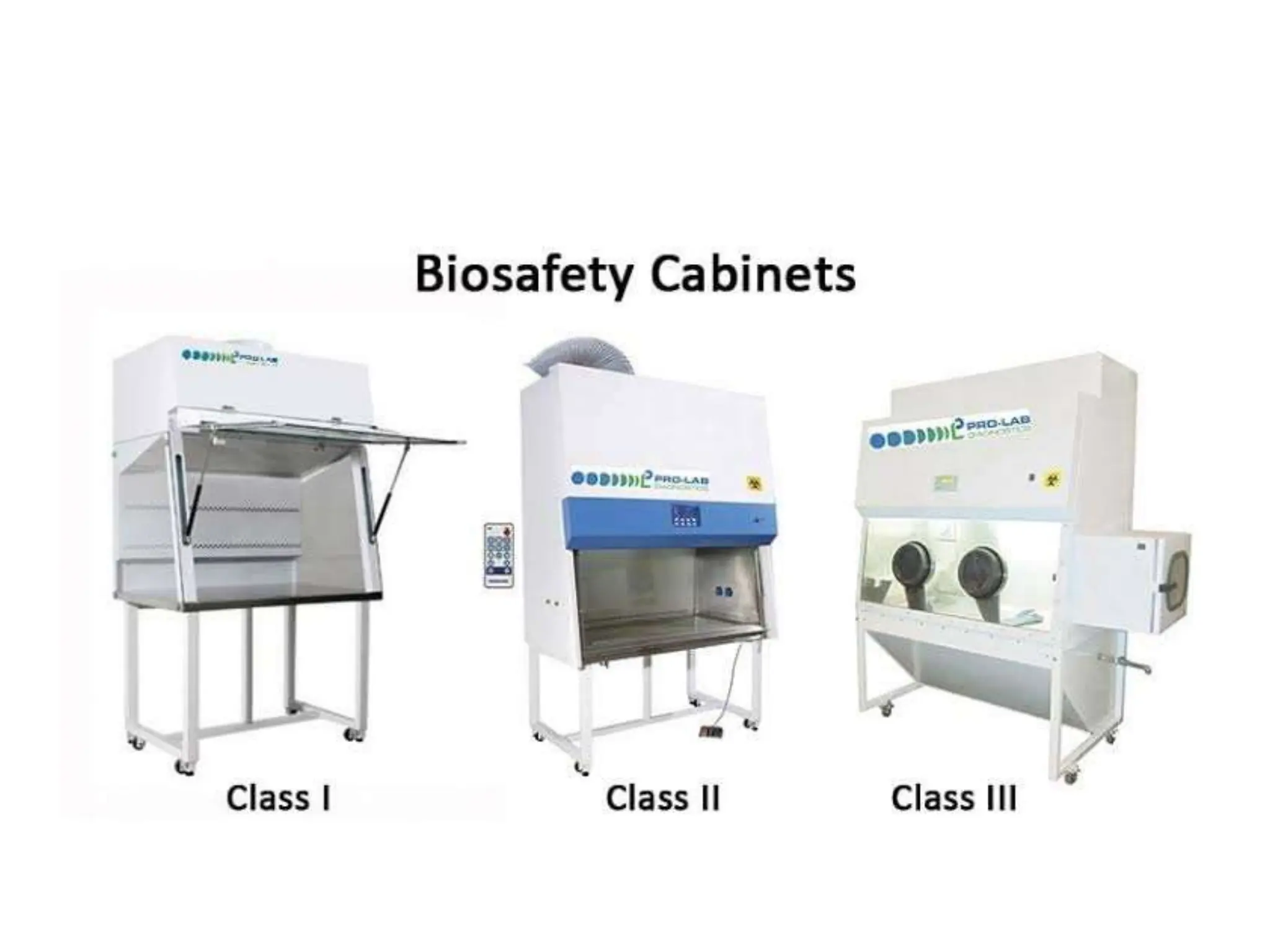 BIOSAFETY LEVEL and Biosafety cabinet-WPS Office.pptx