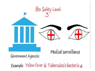 Biosafety level 1.pptx