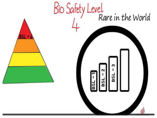 Biosafety level 1.pptx