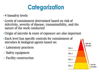 Biosafety level 1.pptx