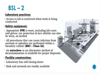 Biosafety level 1.pptx