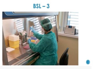 Biosafety level 1.pptx