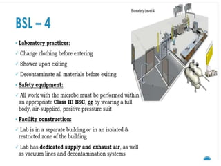 Biosafety level 1.pptx