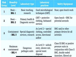 Biosafety level 1.pptx
