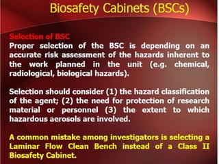 Biosafety level 1.pptx