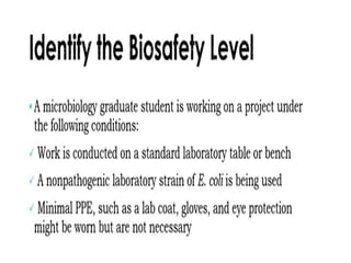 Biosafety level 1.pptx
