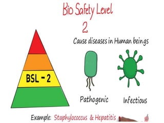 Biosafety level 1.pptx