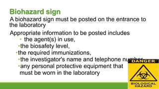 Biosafety level II | PPTX