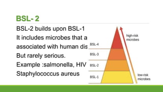 Biosafety level II | PPTX