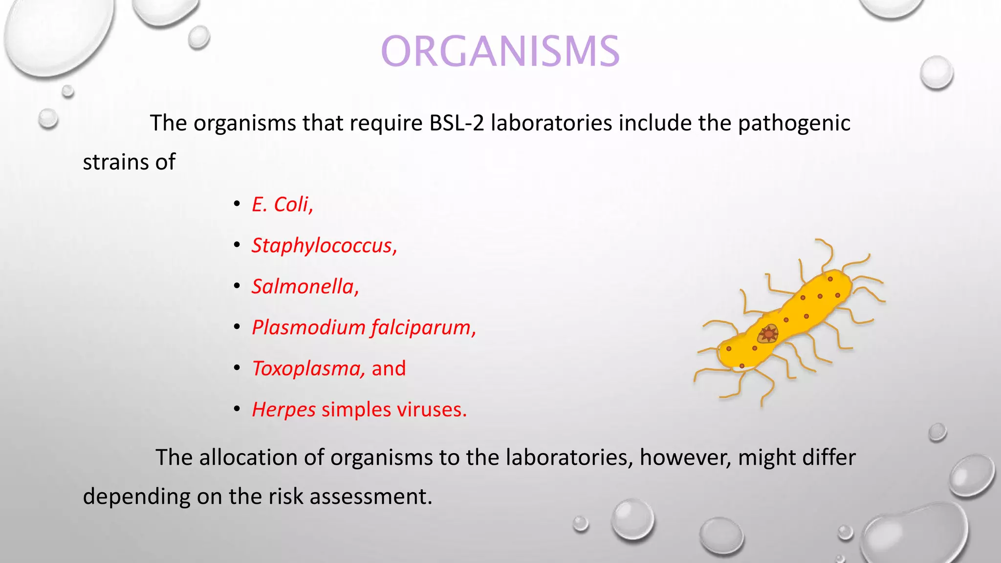 Biosafety level 2 | PPTX