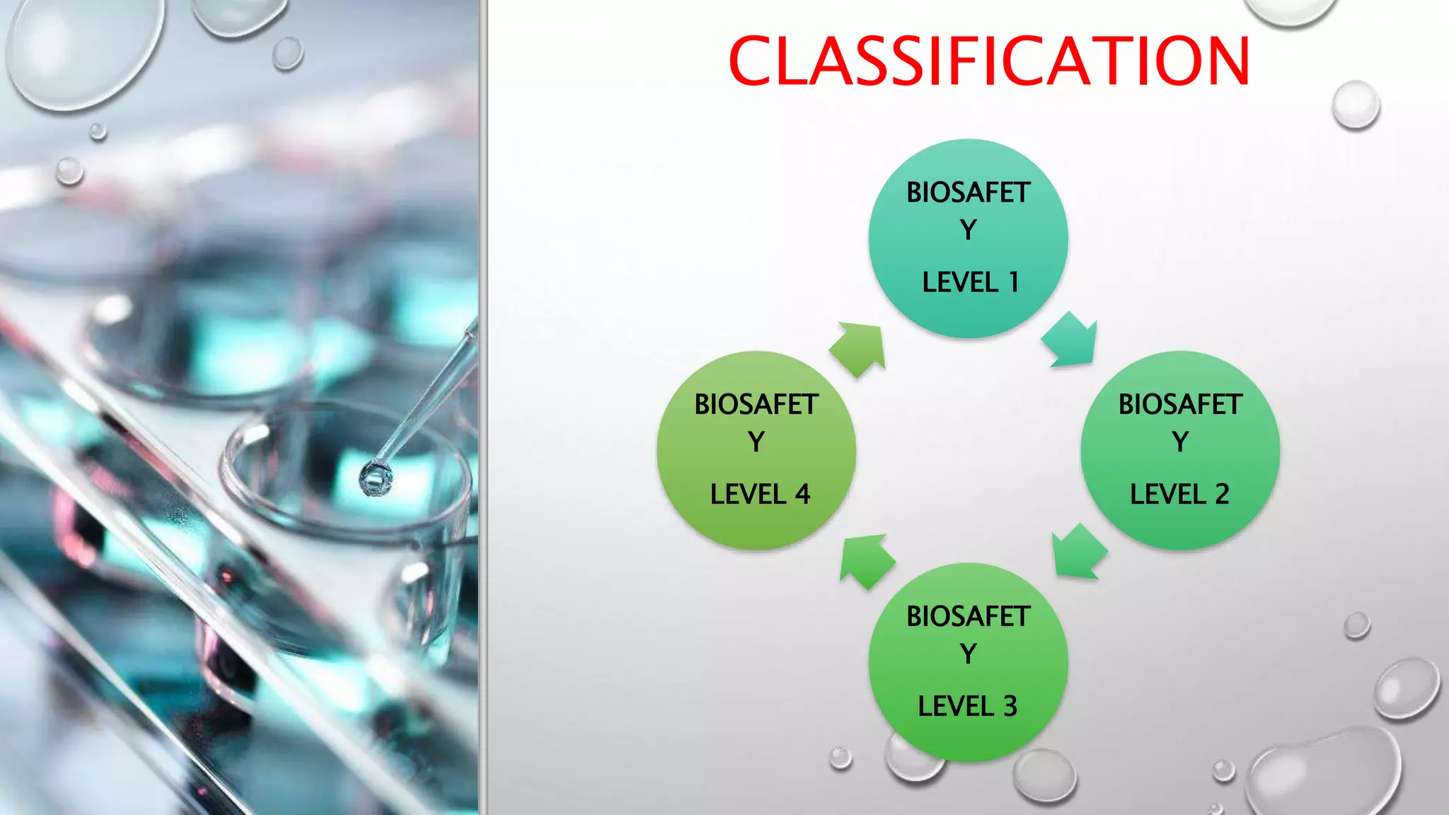 Biosafety level 2 | PPTX