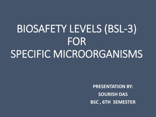BIOSAFETY LEVEL 3.pptx