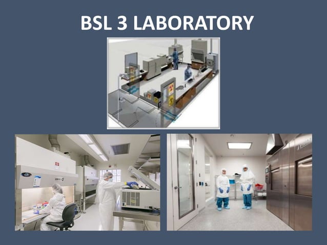 BIOSAFETY LEVEL 3.pptx