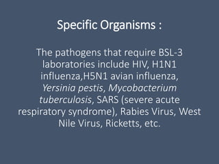 BIOSAFETY LEVEL 3.pptx