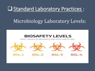 BIOSAFETY LEVEL 3.pptx