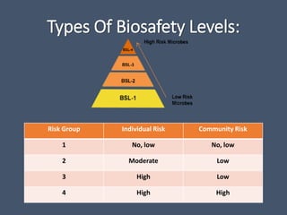 BIOSAFETY LEVEL 3.pptx