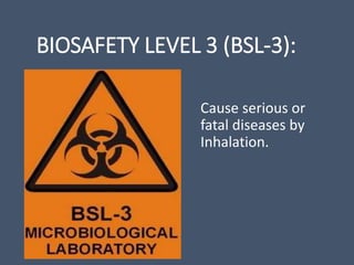BIOSAFETY LEVEL 3.pptx