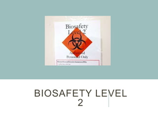 Biosafety levels with video guideline | PPTX