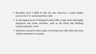 Biosafety Levels .pptx