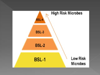 Biosafety levels and guideliness | PPTX