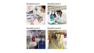Biosafety Levels by Francis and Prasoona .pptx