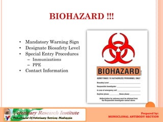 Recognizing the Biosafety level | PPT