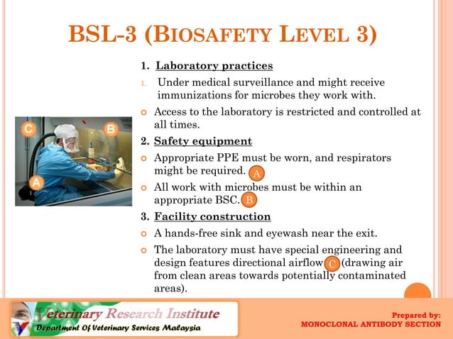 Recognizing the Biosafety level | PPT