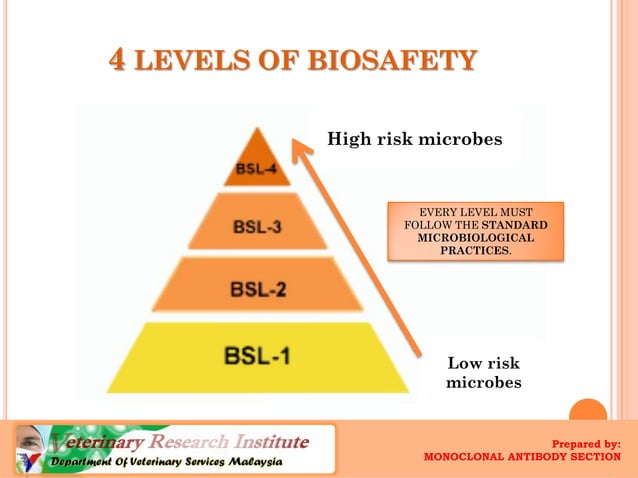 Recognizing the Biosafety level | PPT