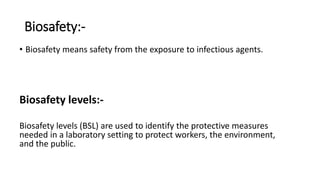 Biosafety levels ppt.pptx