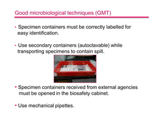 BIOSAFETY MANAGEMENT.ppt