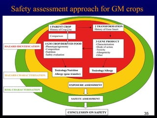 Biosafety of gm crops | PPT