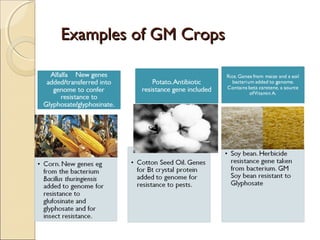 Biosafety of gmos and the role of entomologists | PPT