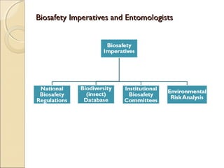 Biosafety of gmos and the role of entomologists | PPT