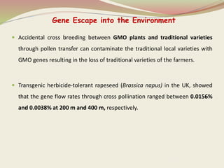 Biosafety issues related to GM crops | PPTX