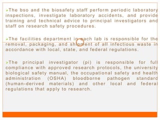 Biosafety policies ppt | PPTX