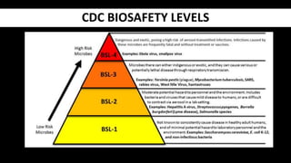 Biosafety ppt | PPTX