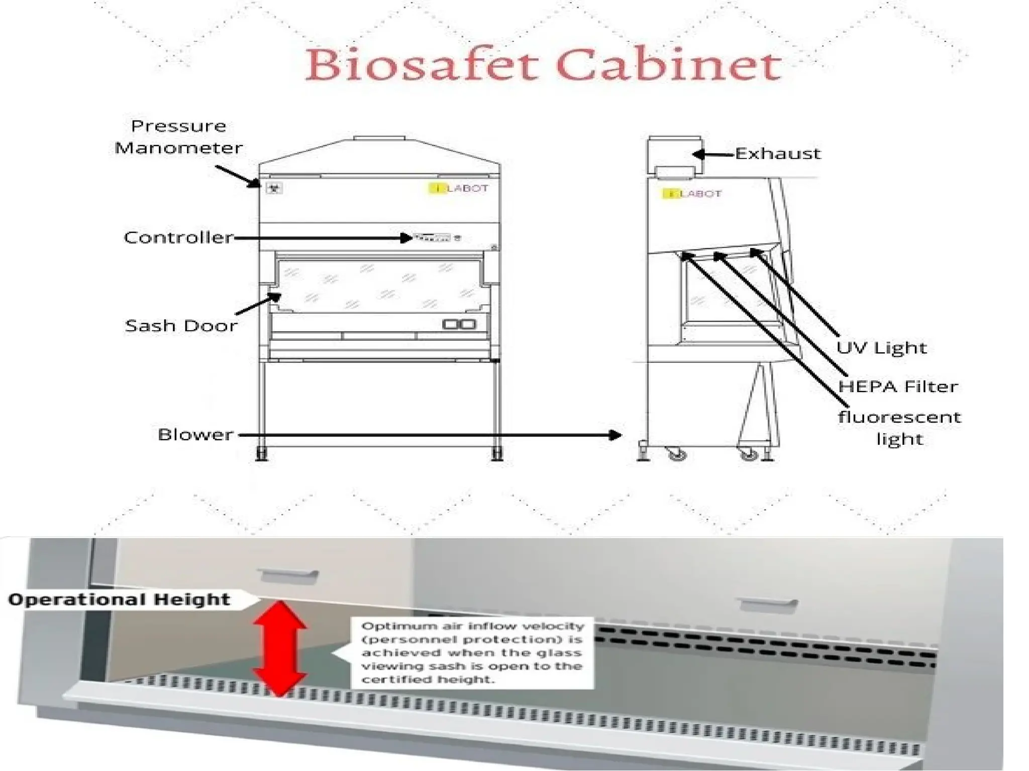 Biosafety Presentation (Basic concept) ) | PPTX