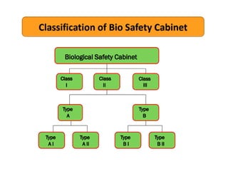 Biosafety Presentation (Basic concept) ) | PPT | Free Download