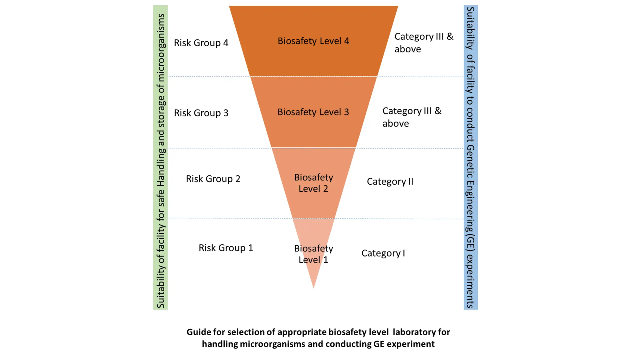 Biosafety Biosafety Regulation Guidelines Institutional Biosafety Committees Ibscs Pptx
