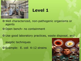 BIOSAFETY REGULATIONS pptx | PPTX