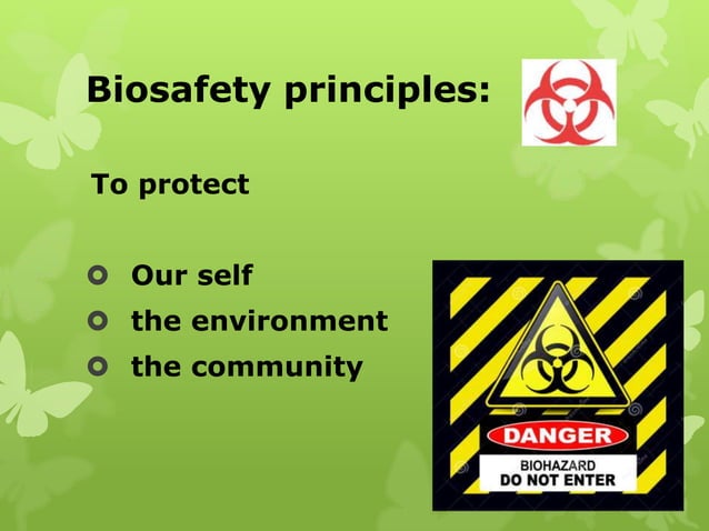 BIOSAFETY REGULATIONS pptx | PPTX