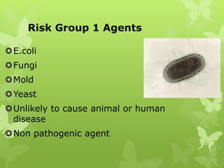 BIOSAFETY REGULATIONS pptx | PPTX