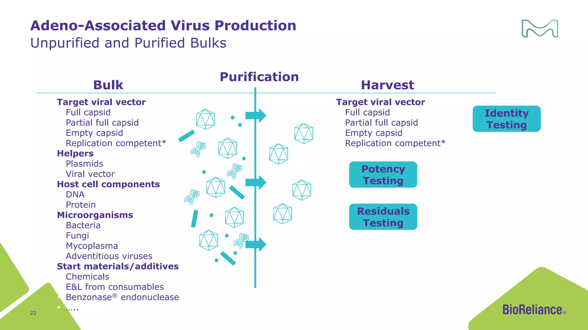 Biosafety Testing Solutions for Cell & Gene Therapy | PDF