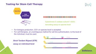 Biosafety Testing Solutions for Cell & Gene Therapy | PDF