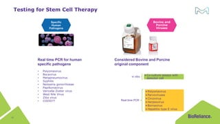 Biosafety Testing Solutions for Cell & Gene Therapy | PDF