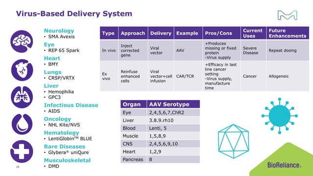 Biosafety Testing Solutions for Cell & Gene Therapy | PDF | Biotech and ...