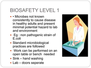 Biosafty | PPTX