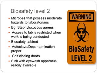 Biosafty | PPTX