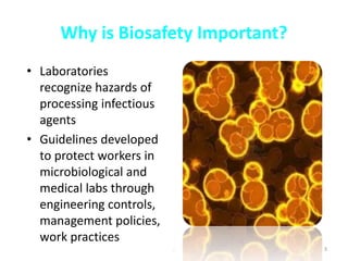 Biosafty | PPTX